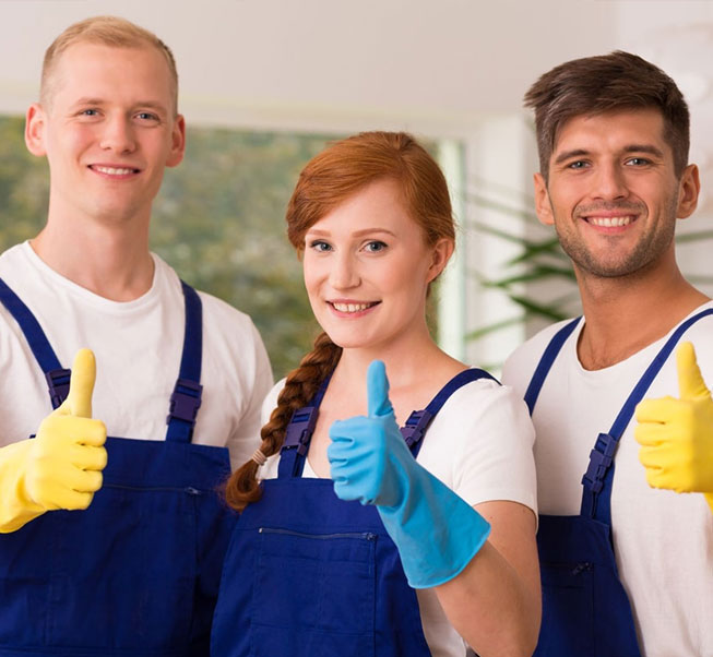 Cleaning Company Dublin 15, 7, 9 - New Vision Cleaning